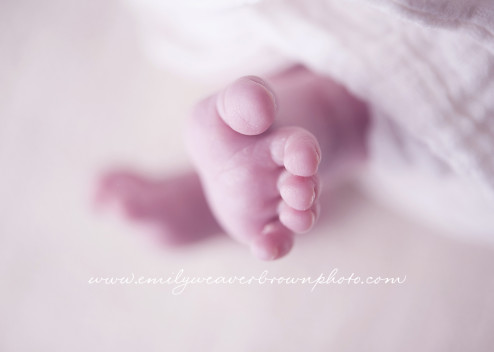 Tiny Baby Toes! Seattle Newborn Photographer | Emily Weaver Brown ...